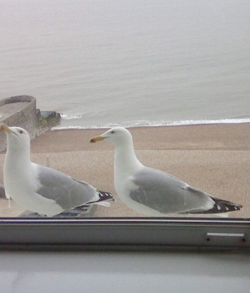 The Patchsmith: April 2013