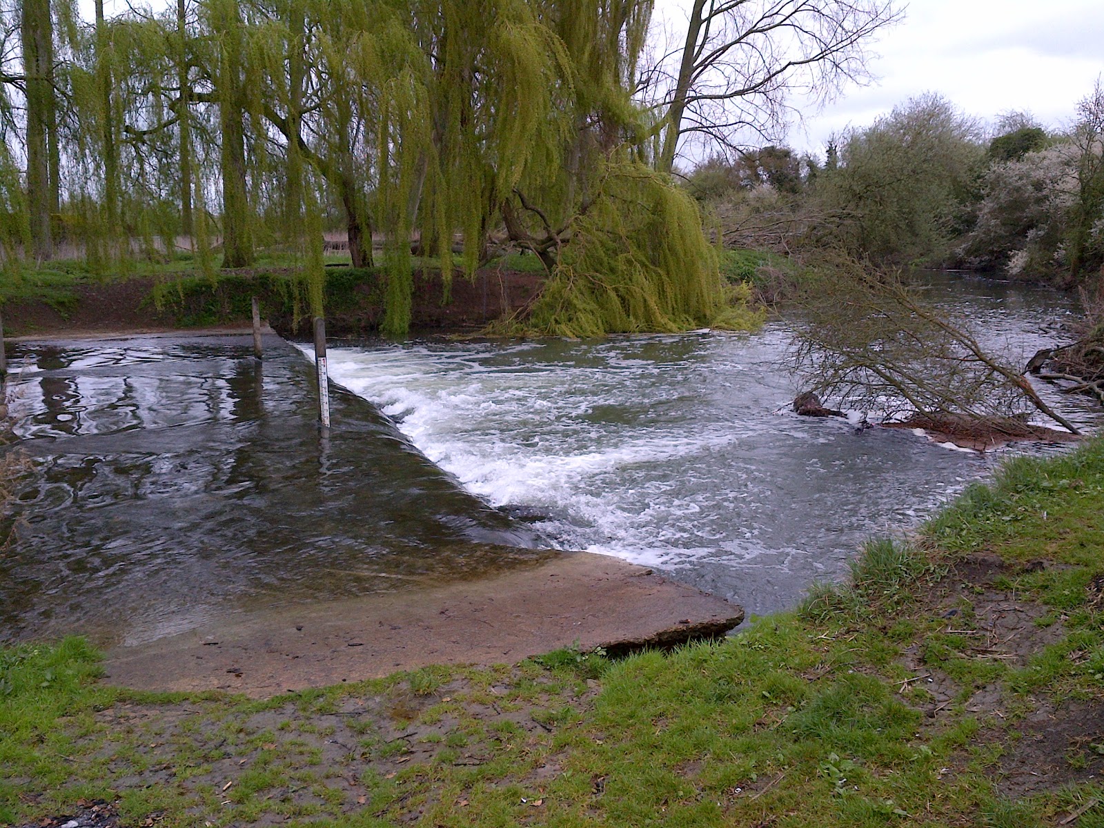 justthoughtsnstuff: duxford, violets, shifford lock, tadpole bridge ...