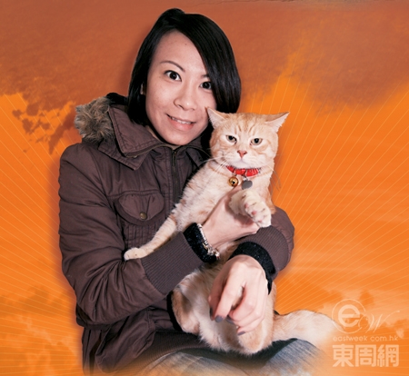 Disappearing Hong Kong/ 消失中的香港: 港•广告-万宁猫/HK Advertisement-Mannings Cat