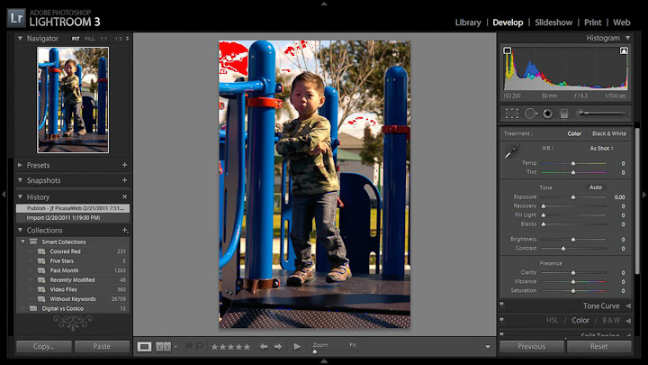 Better Family Photos: Comparing Digital with Film: Dynamic Range