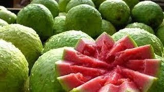 ALMA VERDE: 3 RECEITAS COM A GOIABA-CONHEÇA SEUS BENEFÍCIOS NA SAÚDE