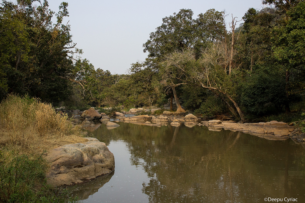 ഉമ്മാച്ചുവോർമ്മകൾ..(memories of ummachu)
