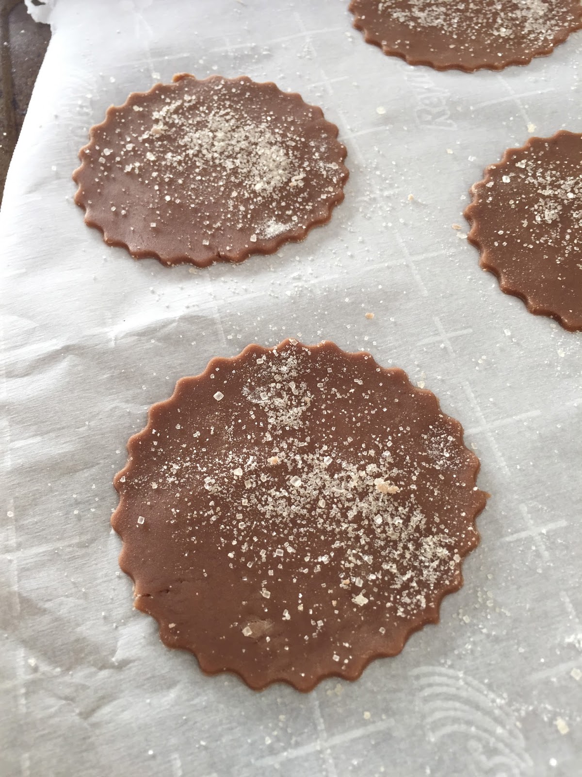 baking with Rhiannon: Cocoa Crisp Cookies