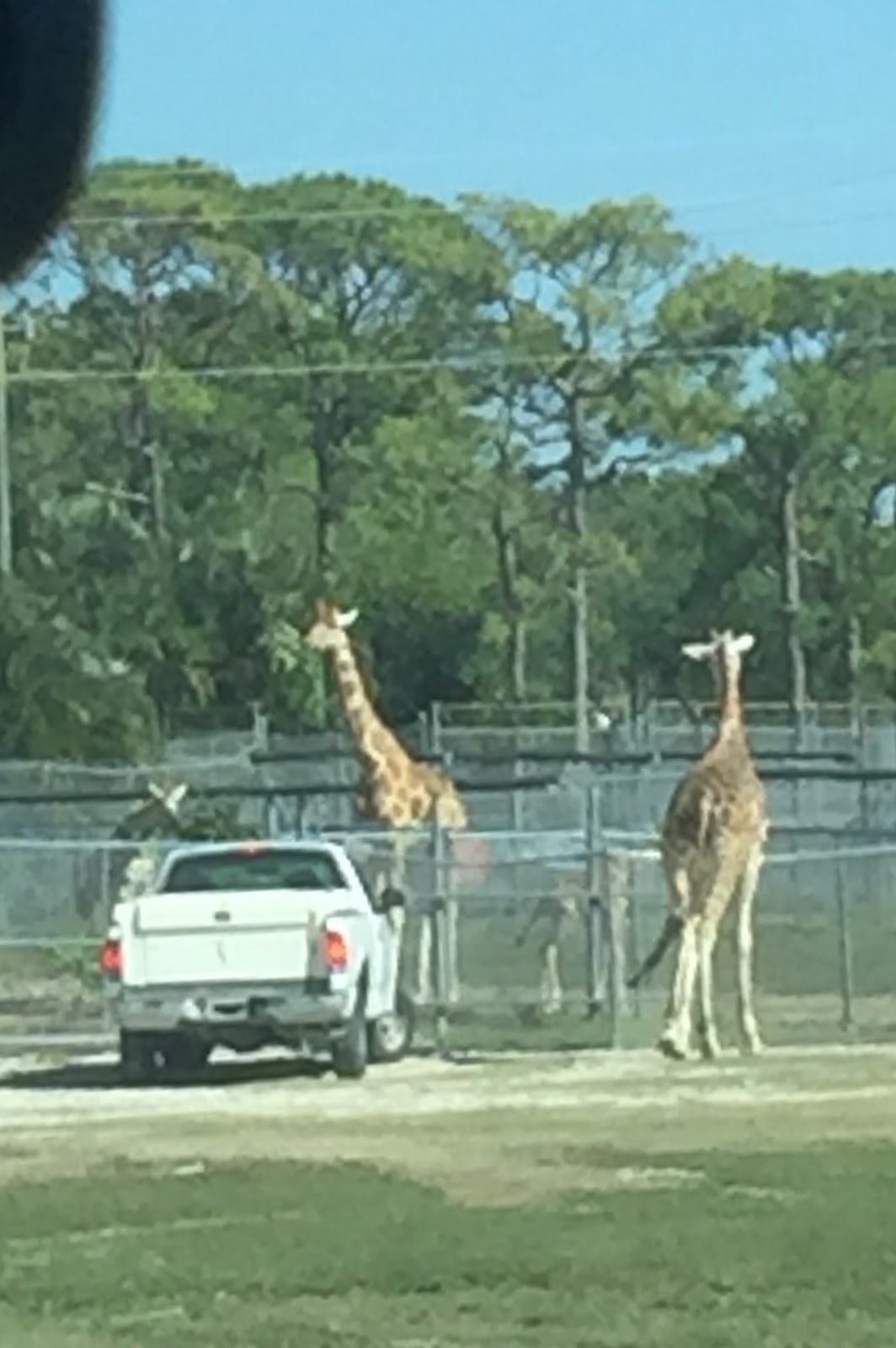 FAU Libraries @Jupiter Science Blog: 2018