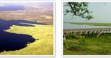 Beni: Destinos turisticos Laguna Suarez