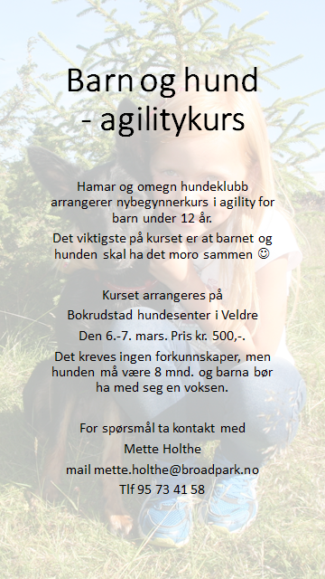 Barn og hund -agilitykurs ~ Hamar og Omegn Hundeklubb