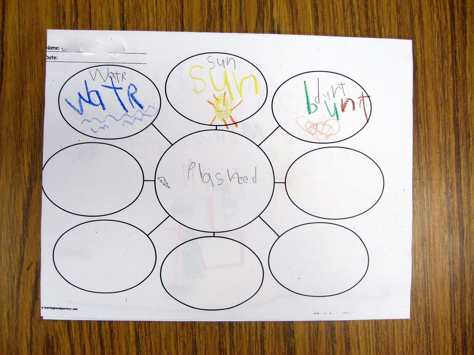 [A]Musings of a First Year Teacher: The Carrot Seed