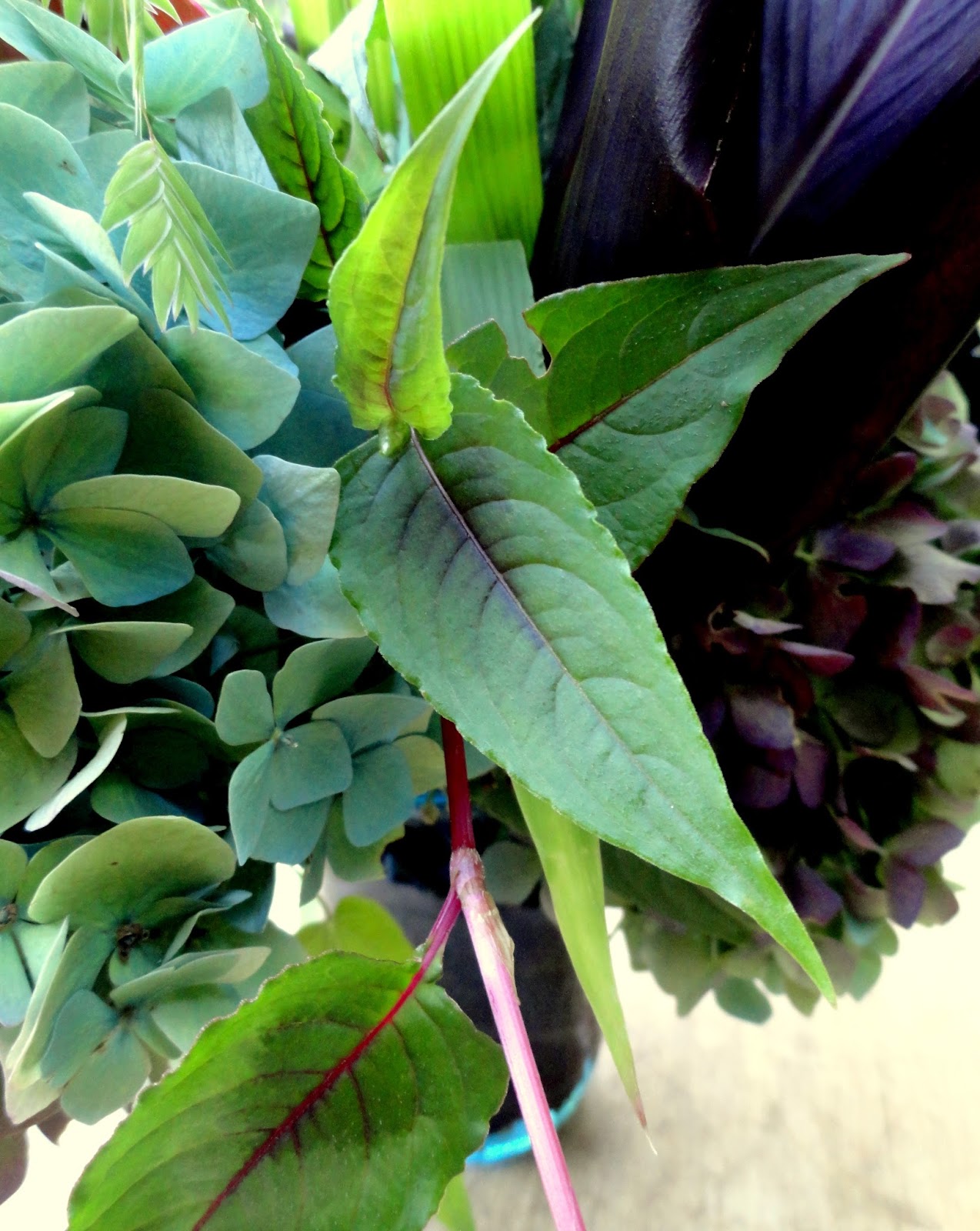 danger garden: In a Vase on Monday, the "Goodbye Neighbors" edition