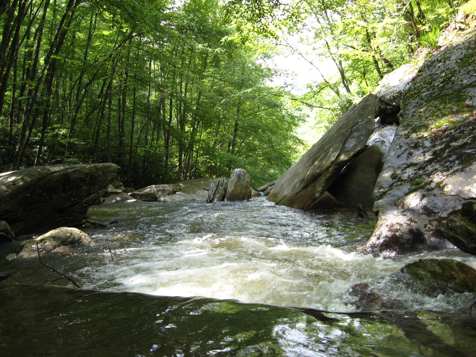 greenmon's folly: July 31 Boone Fork Loop