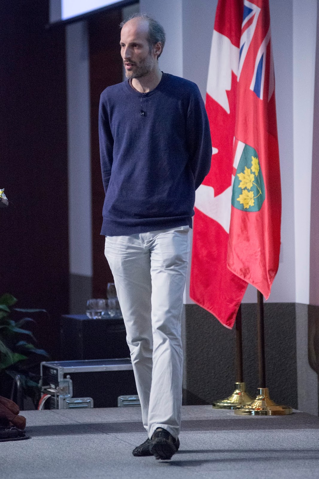 Elemental View: Sony Diaries #998: Martin Hairer, Mathematician