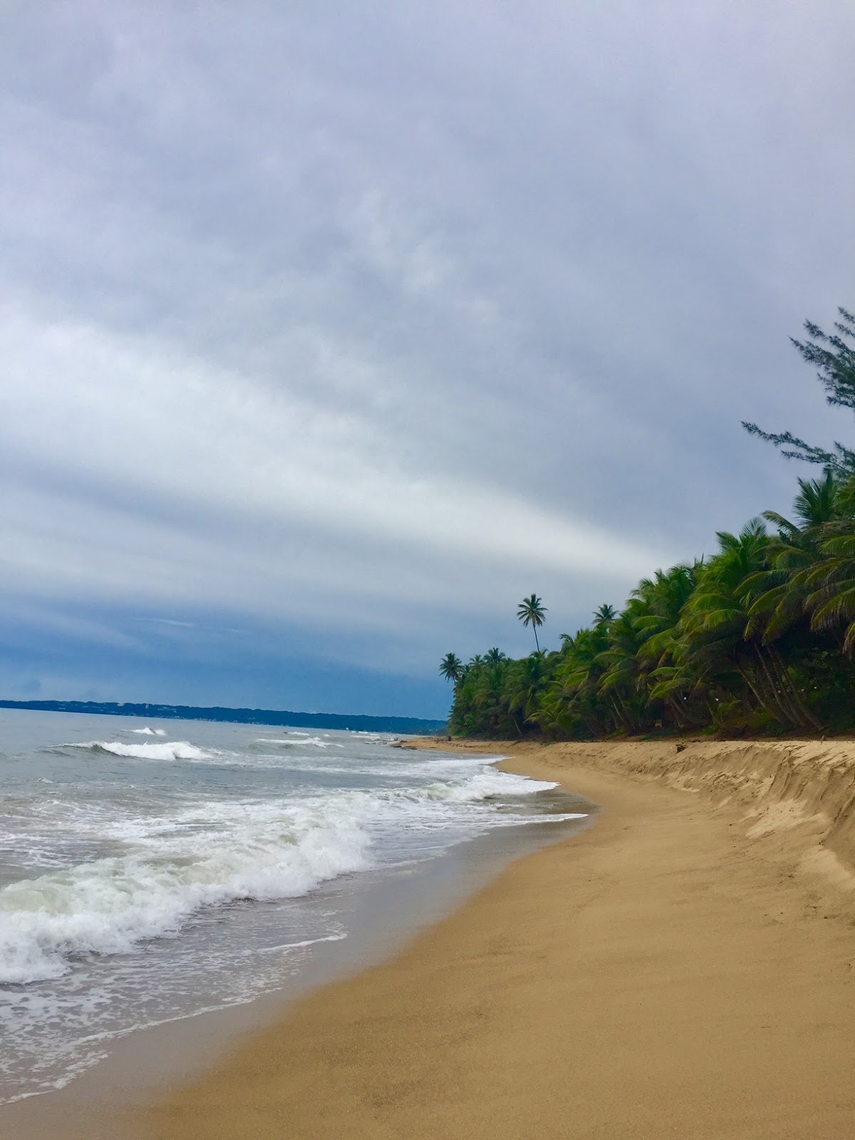 Exploring Rincon, Puerto Rico's Surf Town