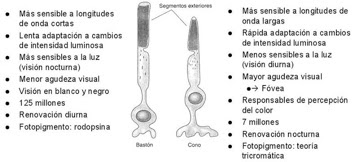 Miranza IOA: ¿QUÉ SON LAS POSTIMÁGENES?