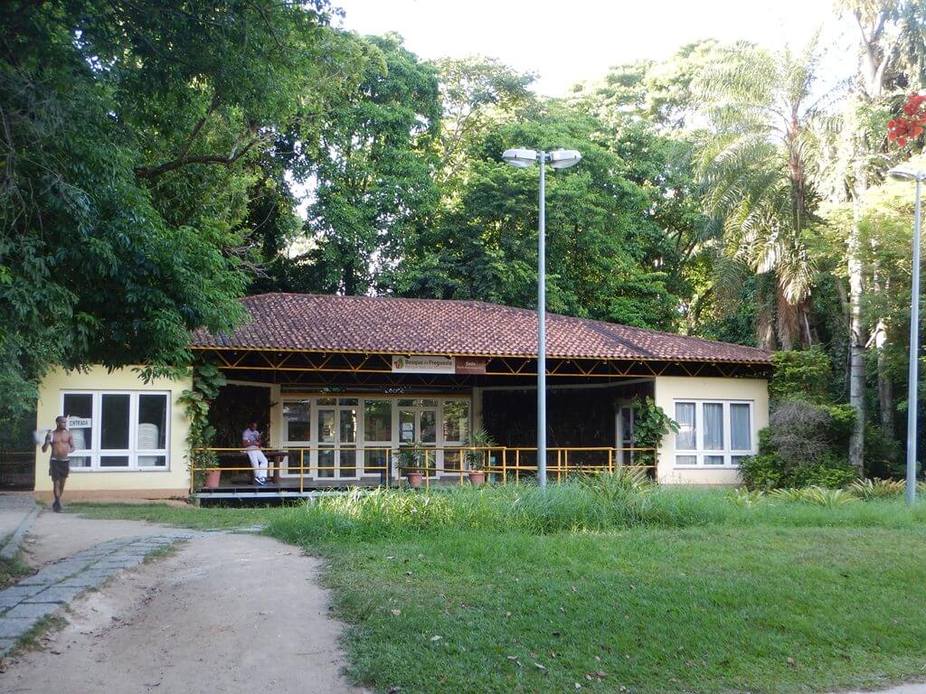 Bosque da Freguesia, um refúgio no Rio de Janeiro | Viajar correndo