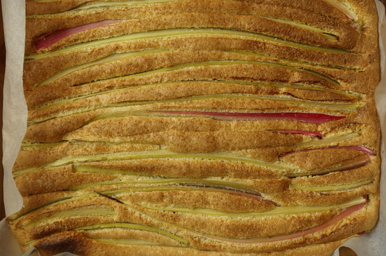 Kodune rabarberikook