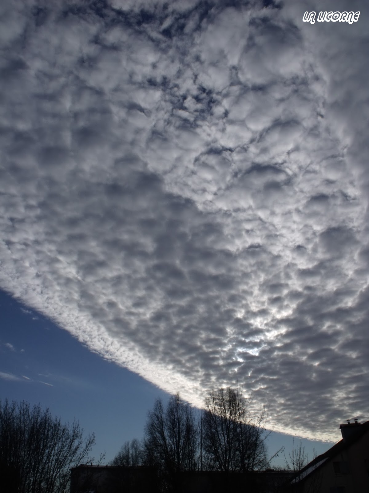 Fffffoto: 114. Nuage