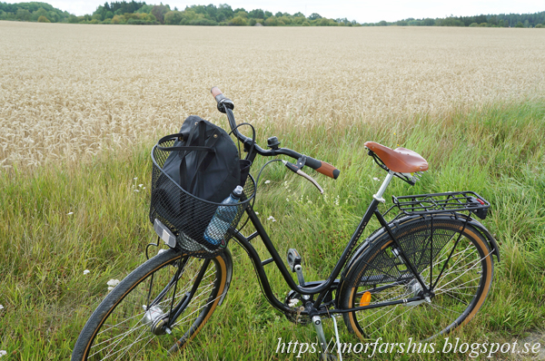 TIMMER & MASONITE . .: Cykeltur i sensommaren