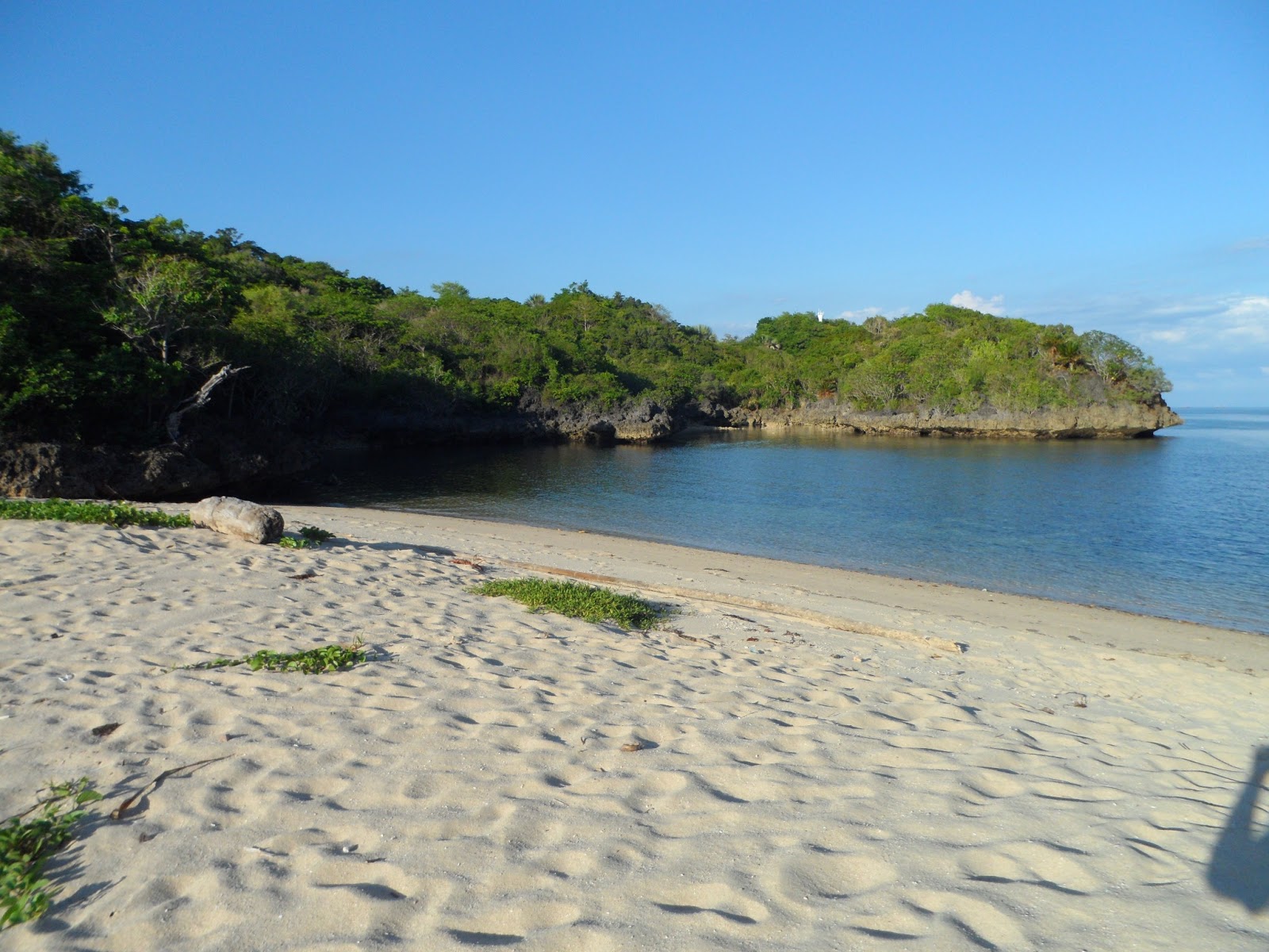 RD Traveller: TINMR Escapade (Taklong Island National Marine Reserve)