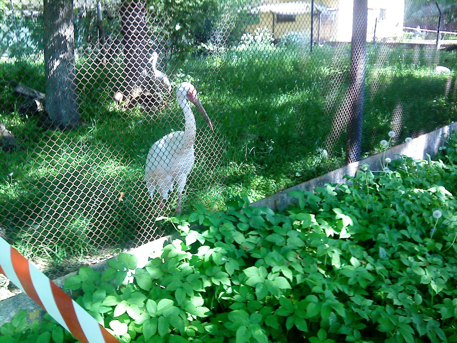 Loodus kajastub mu hinges: Loomaaed