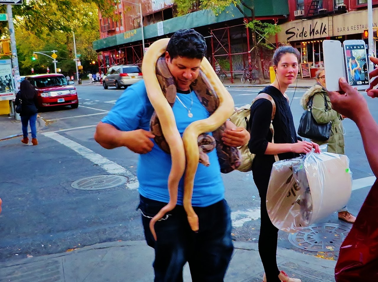 EV Grieve: Today in photos of people wearing live snakes around their ...