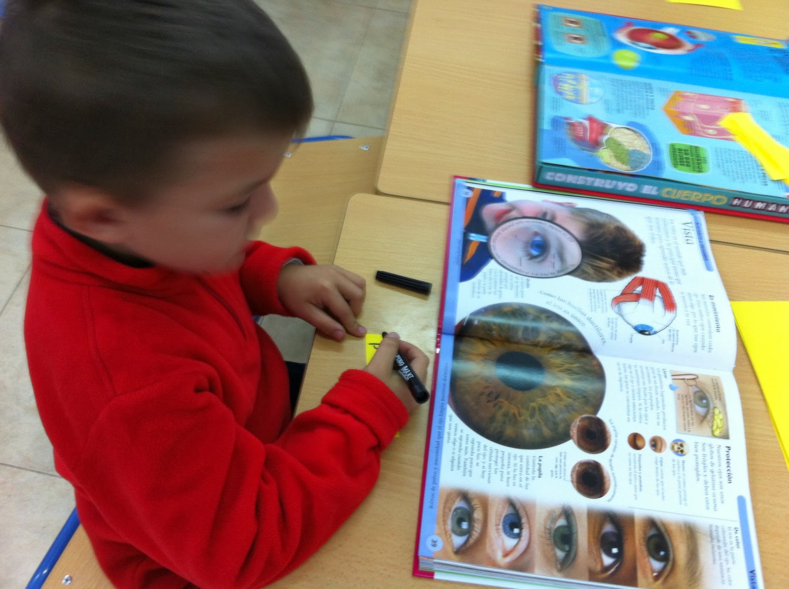 EL SUEÑO DE SER: EXPLORANDO NUESTROS SENTIDOS.