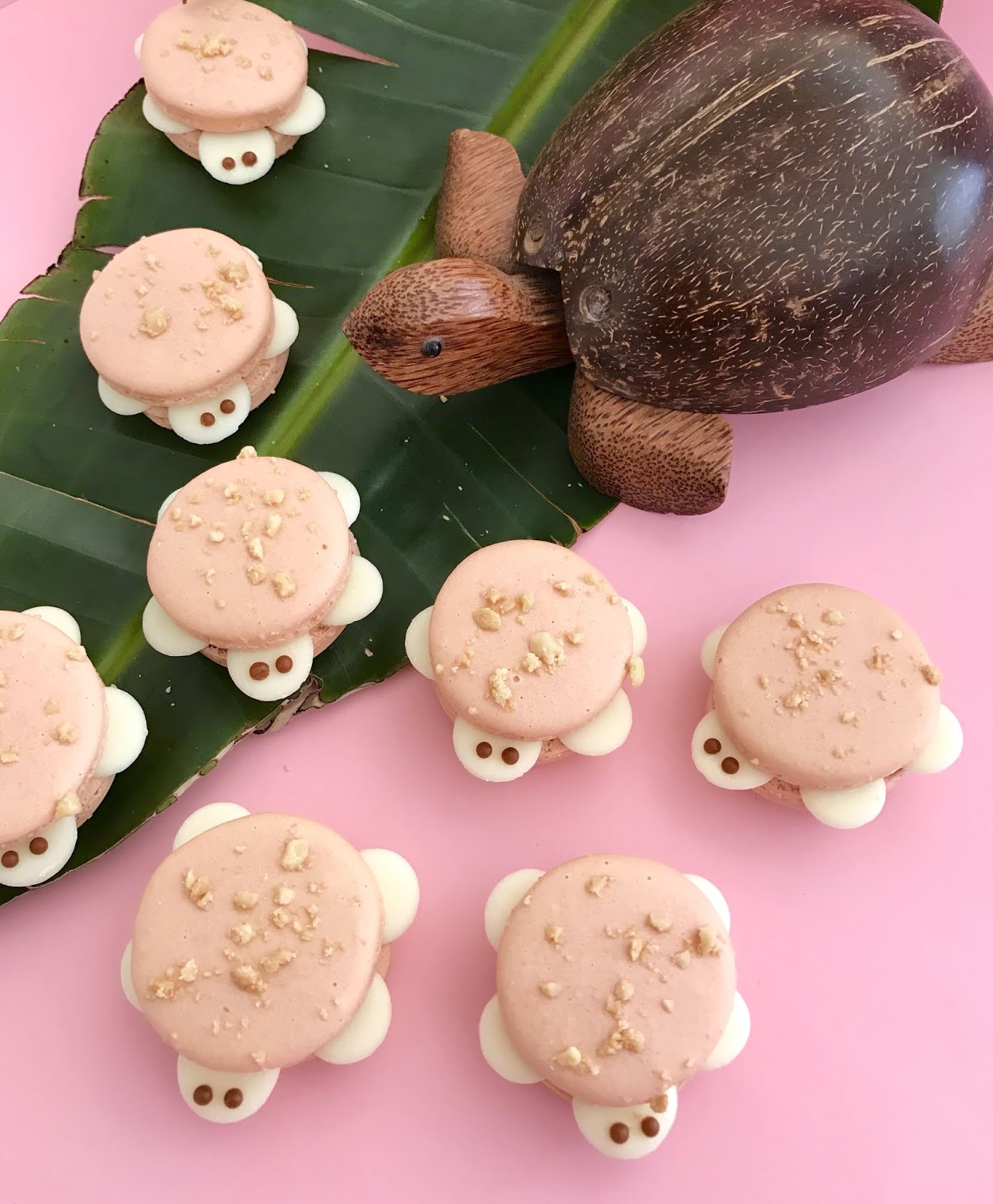 Nutty Turtle Macarons | evelyta appe