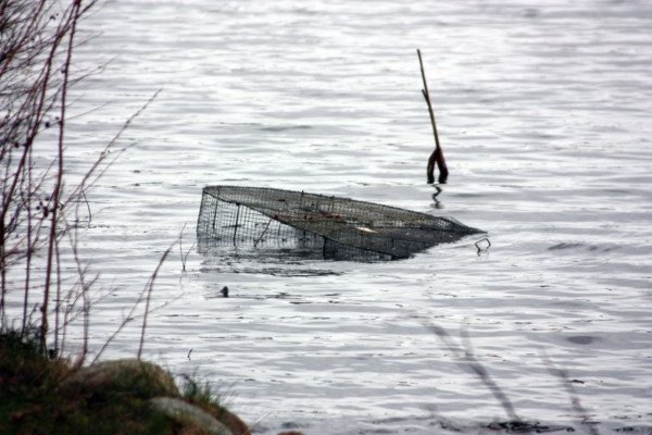 Hirnakan torppa: Surullinen katiska