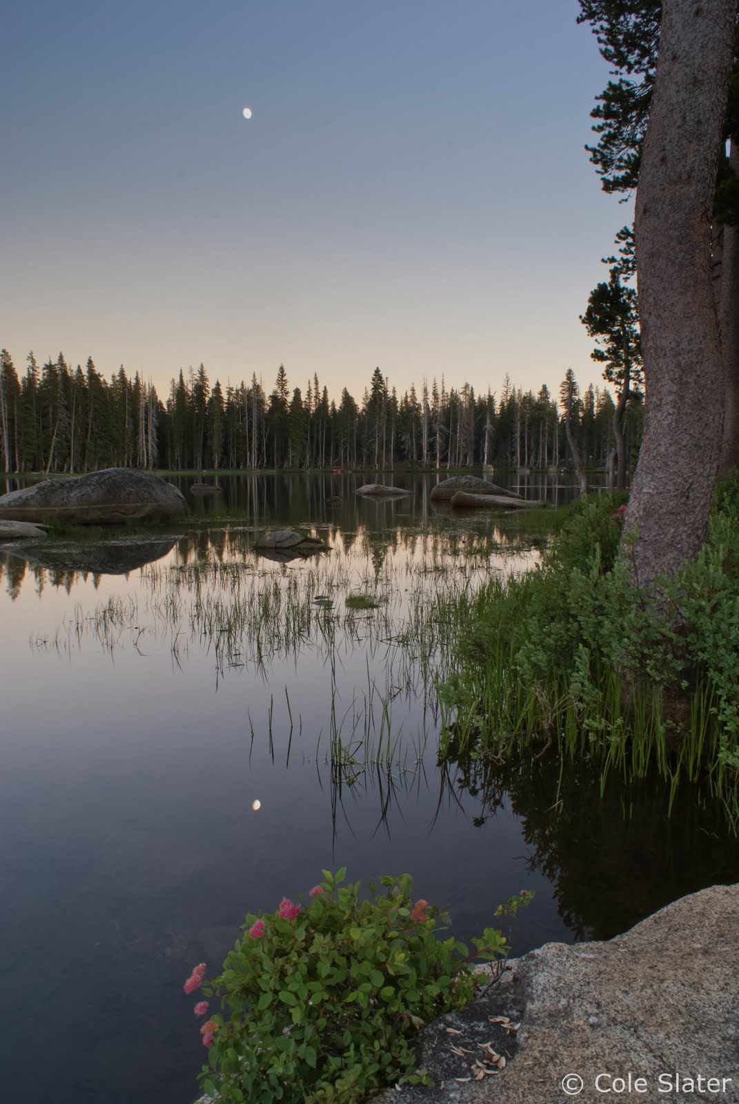 Cole's Trail Tales: Crystal Basin Trip Report - Day 4 - 8/9/11