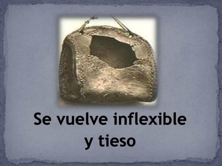 Principios Divinos: “Vino nuevo en odres nuevos”