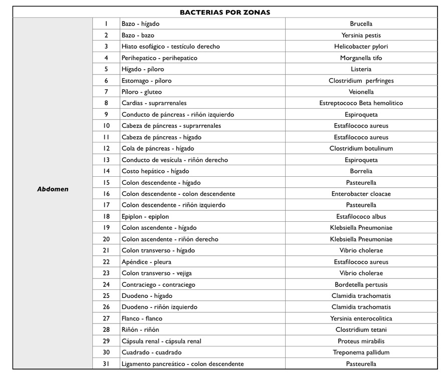 Biomagnetismo - Terapia con Imanes y Bioenergética: Pares Biomagnéticos ...