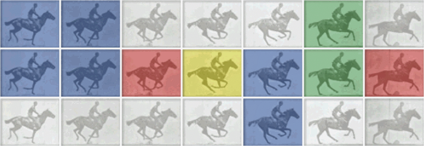 FranMagacine: Aniversario del inventor del zoopraxiscopio, precursor ...