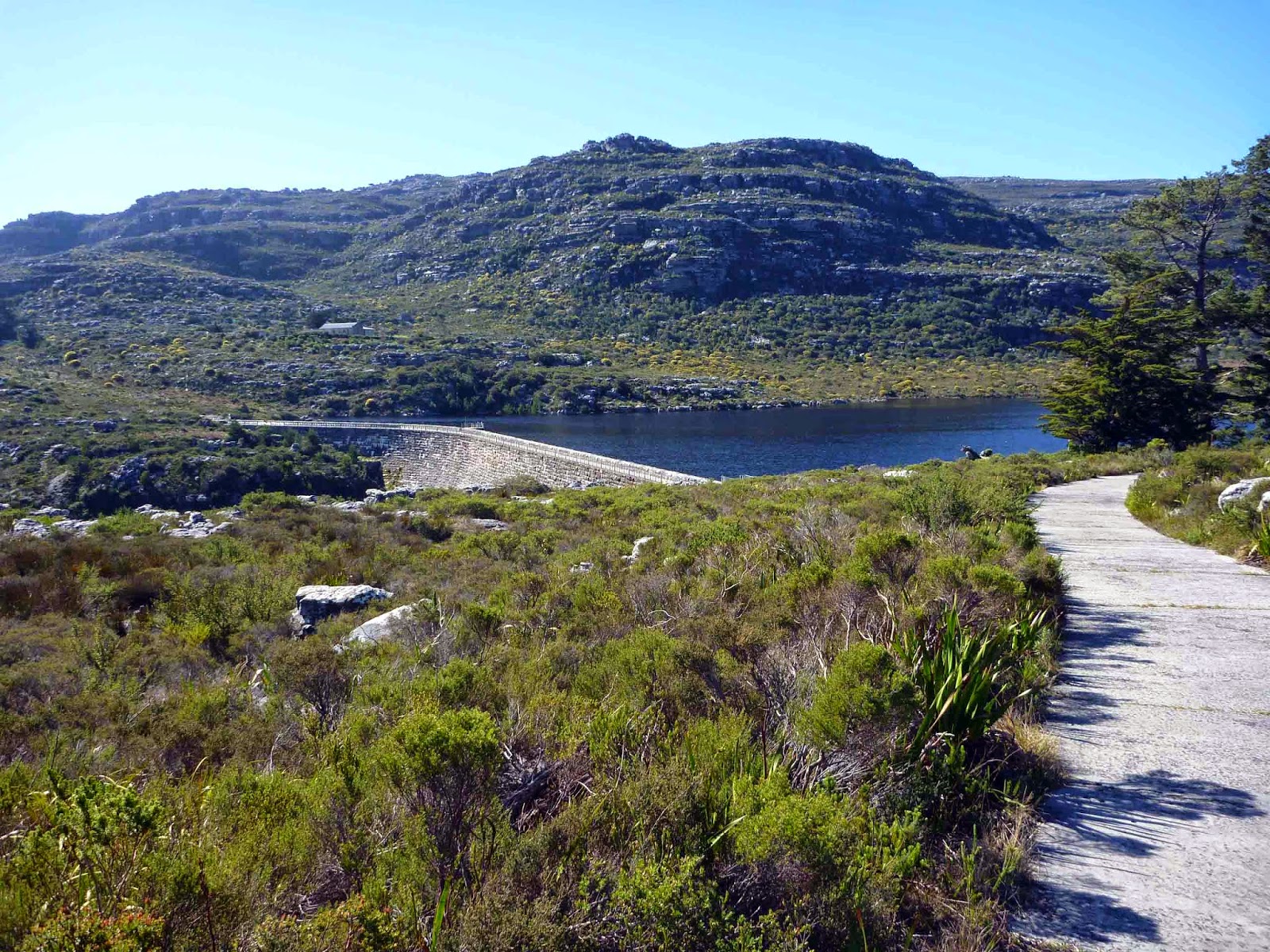 Camino Dagboek: Table Mountain from Constantia neck