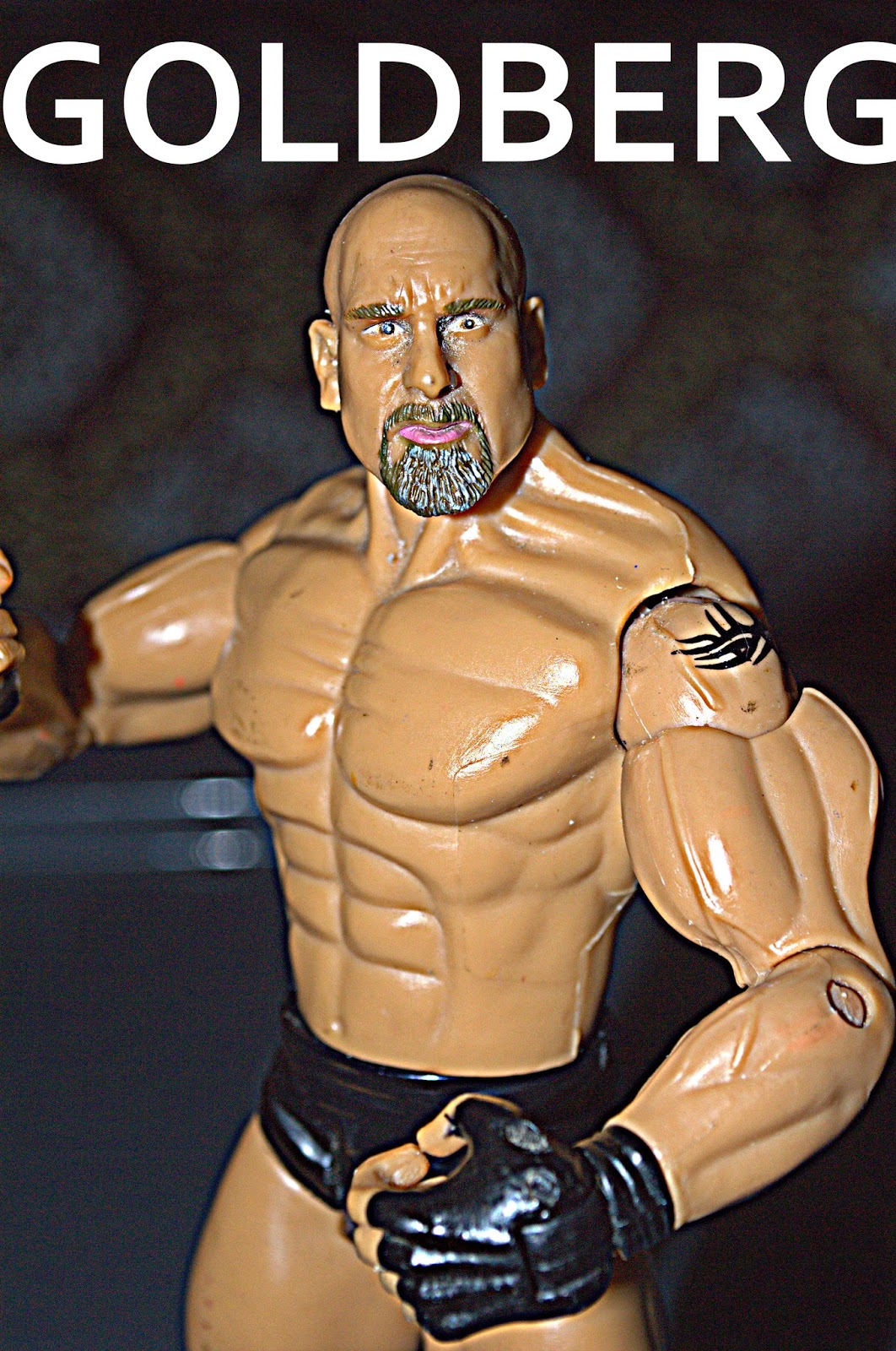 BILL GOLDBERG WRESTLING ACTION FIGURE TOY PHOTOS | TOYS FOR THE ODD BOYS