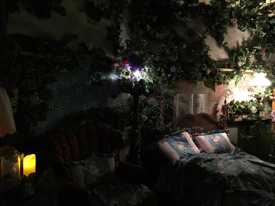 AREX: [Seoul Forest] Alice into the Rabbit Hole Exhibition