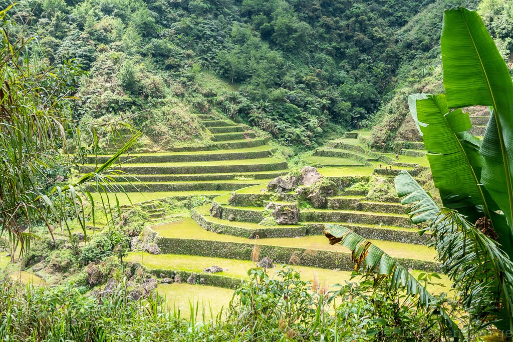 De loin en large: septembre 2018