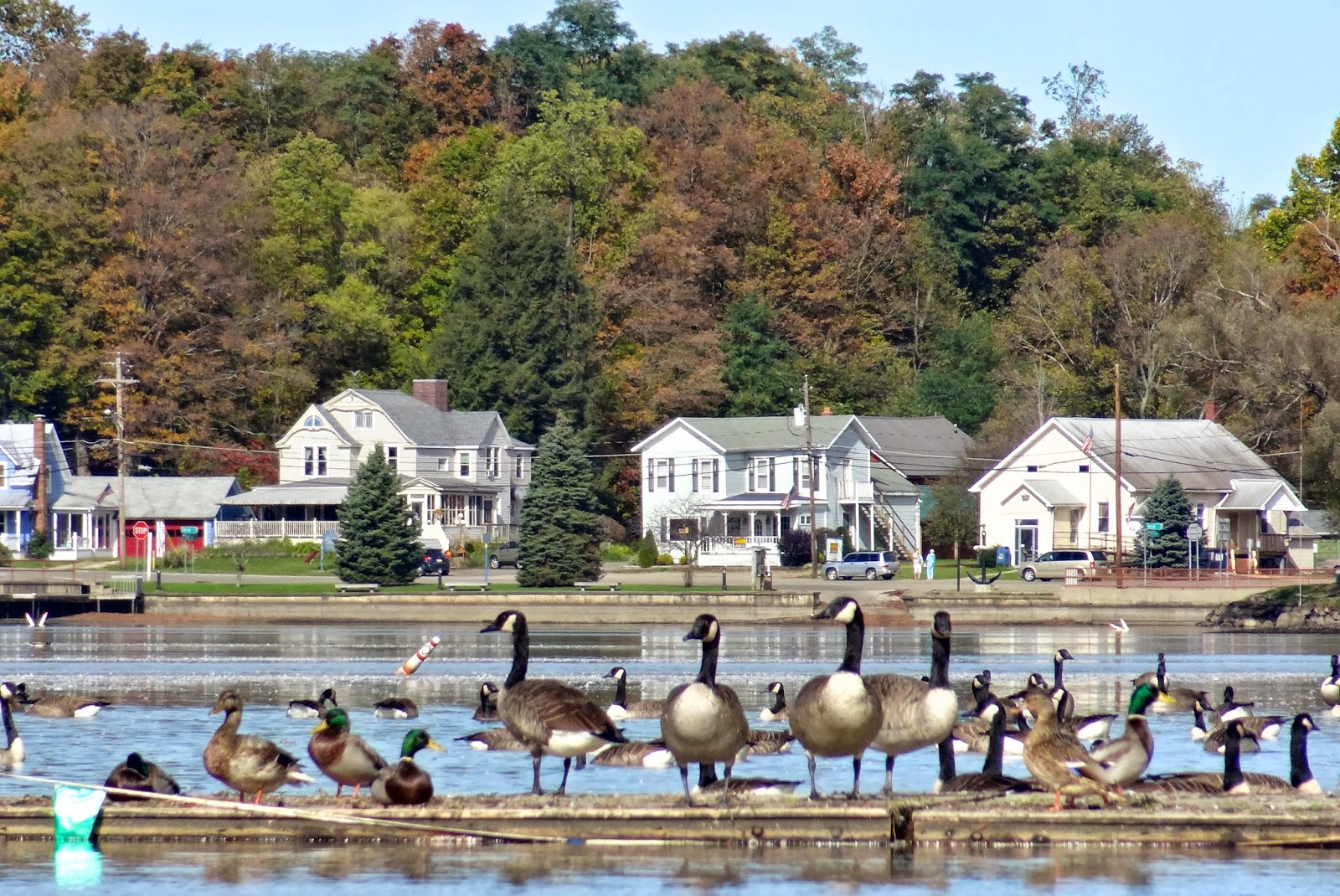 EARLY RISING ON CHAUTAUQUA LAKE: A Kayak Paddle Around Findley Lake, A ...