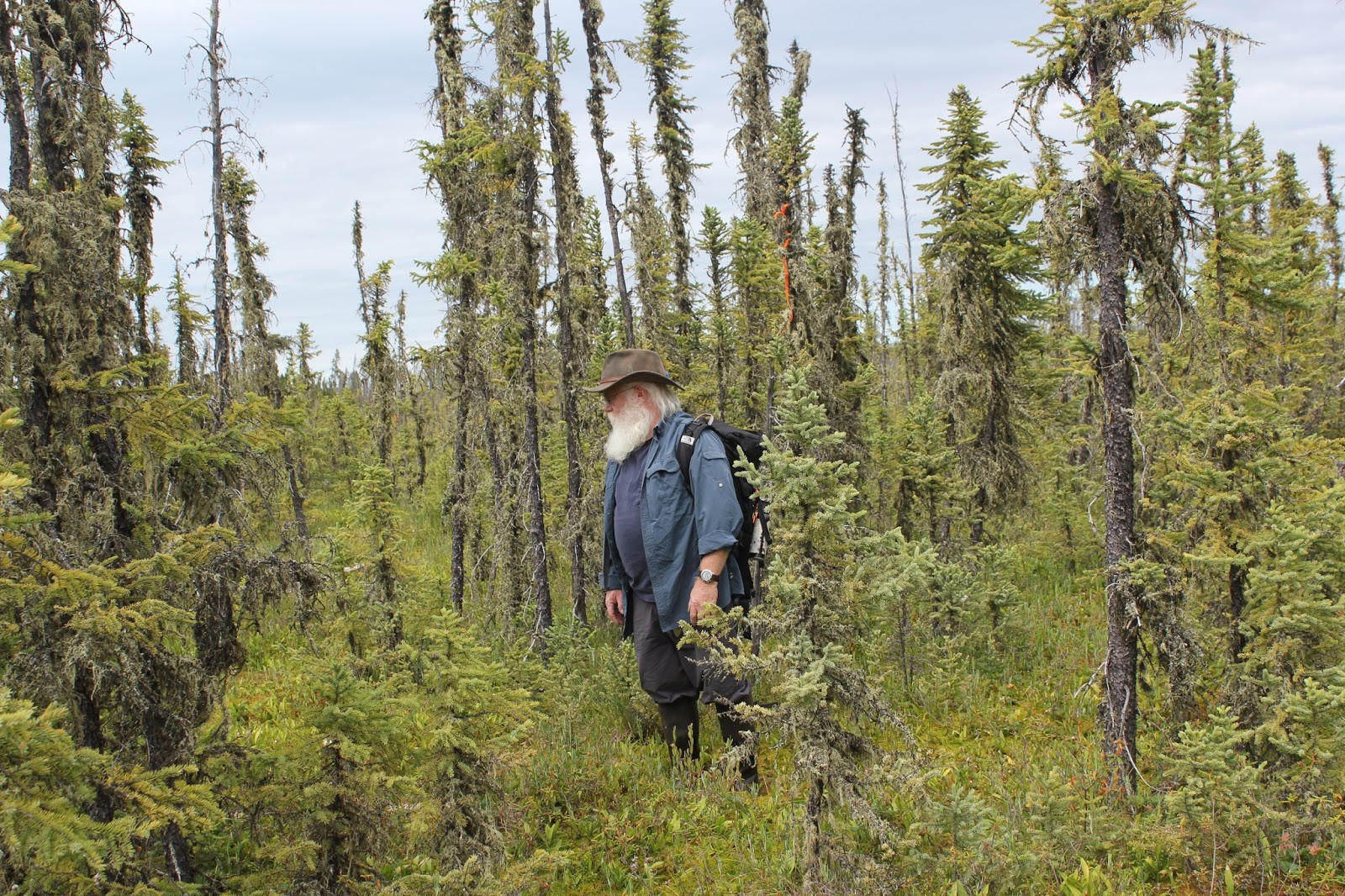 The 55th Parallel: Pictures 2013