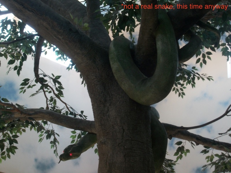 Two Men and a Little Farm: SNAKES IN A TREE, ADVENTURES IN THE COUNTRY