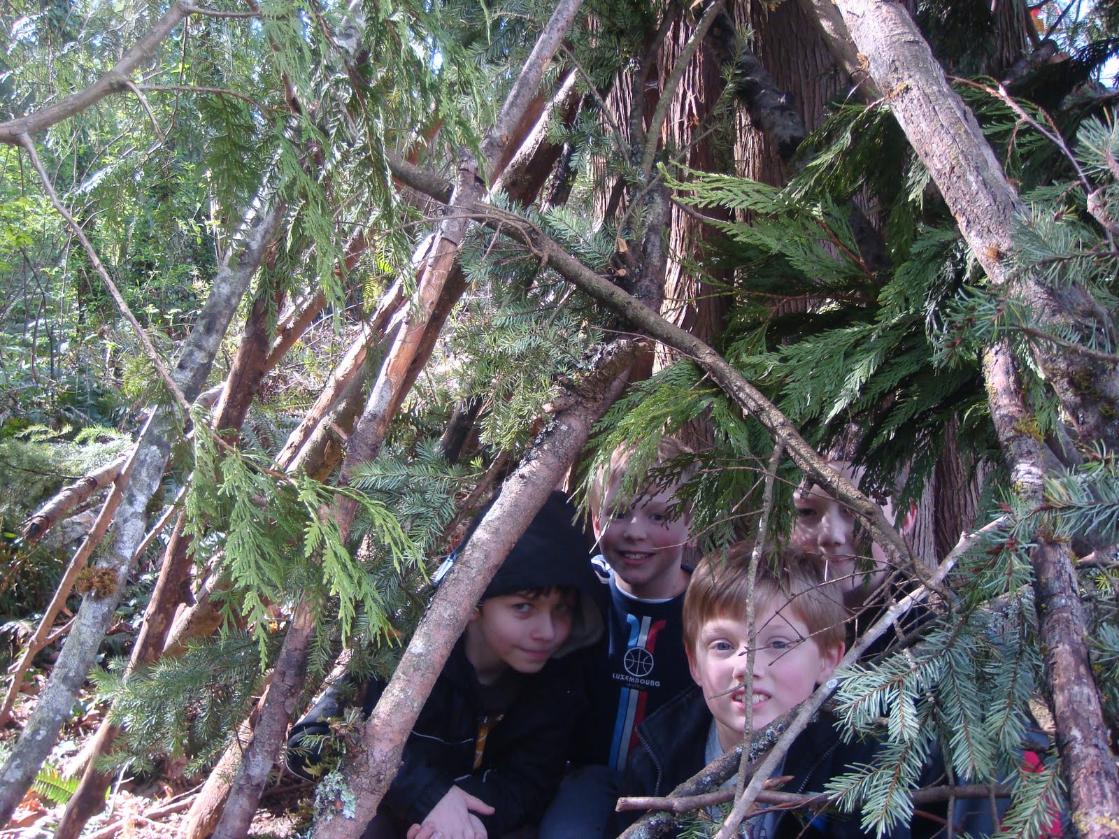 Silverwood Tree House