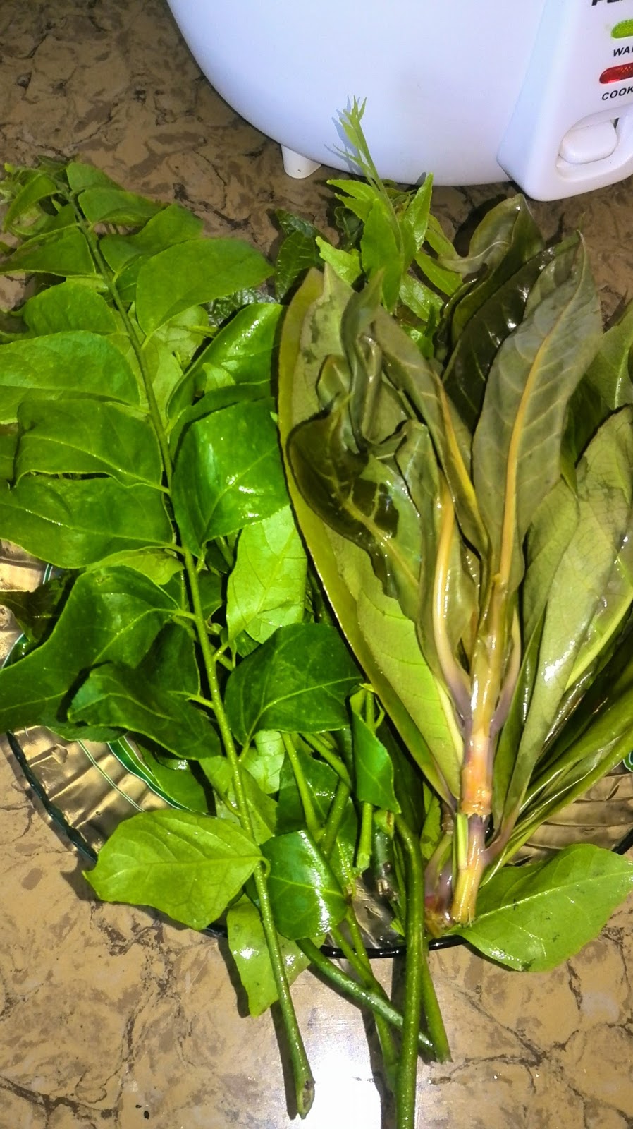 namakucella: ULAM PUCUK SENERUI...PUCUK PUTAT...PUCUK ULAM RAJA