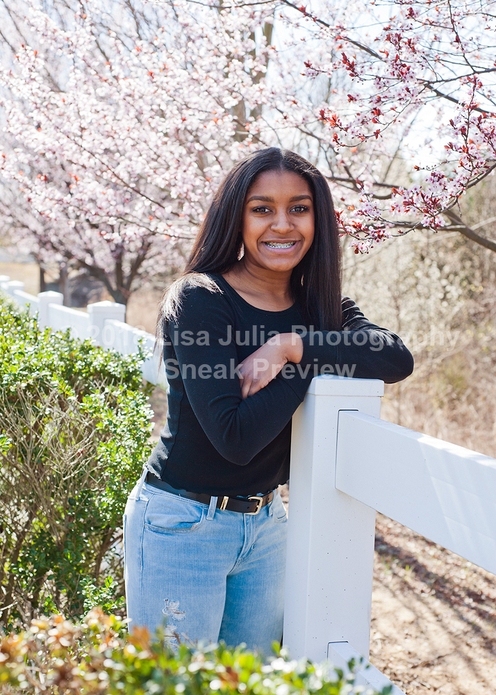 Virginia Photographer Lisa Julia Photography: The Blog