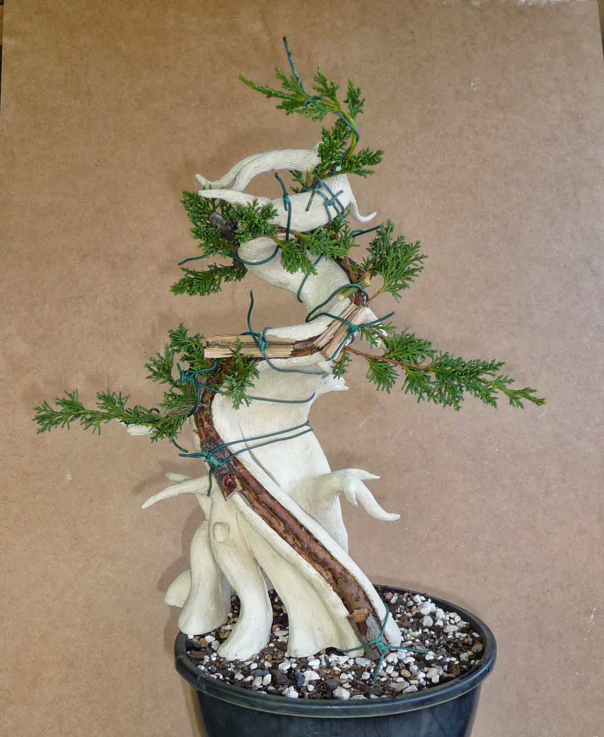 Stephen Cullum's Bonsai & Pottery: Post 126 Tanuki No4 setup