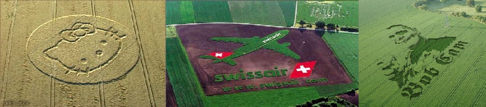 Crop circles, pyramids, the Ark and the Bible |Abarim Publications' Blog