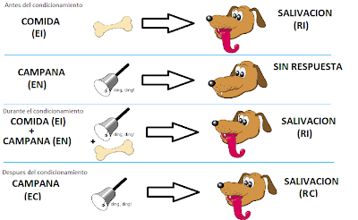 UNIDAD 1 CONDUCTISMO ~ TEORÍAS Y CORRIENTES PSICOLÓGICAS DEL APRENDIZAJE