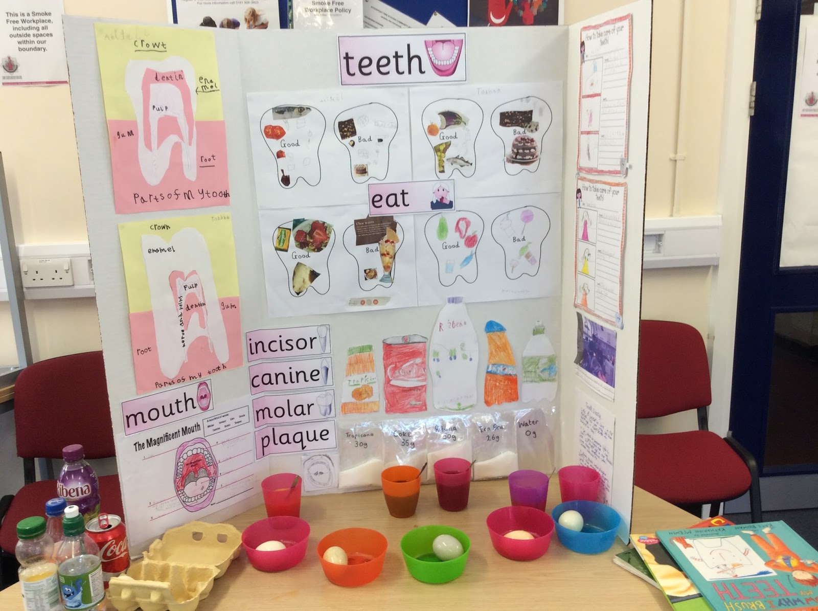 Young Hosannas: Teeth Unit Study