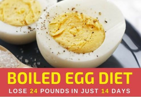The Boiled Egg Diet – Lose 24 Pounds in 2 Weeks - Ladies