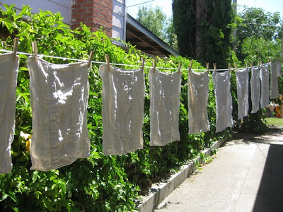 I Love Line Drying ~ Eco-novice