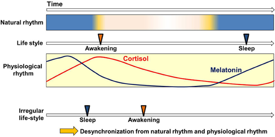 5 Great Elements: What Is Circadian Rhythm?