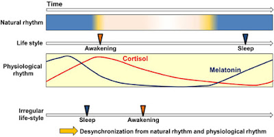 5 Great Elements: What Is Circadian Rhythm?