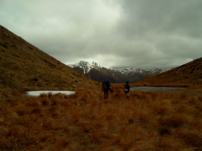 BlogRoddus: Henry Saddle/Anne hut/Foley Creek October 2006