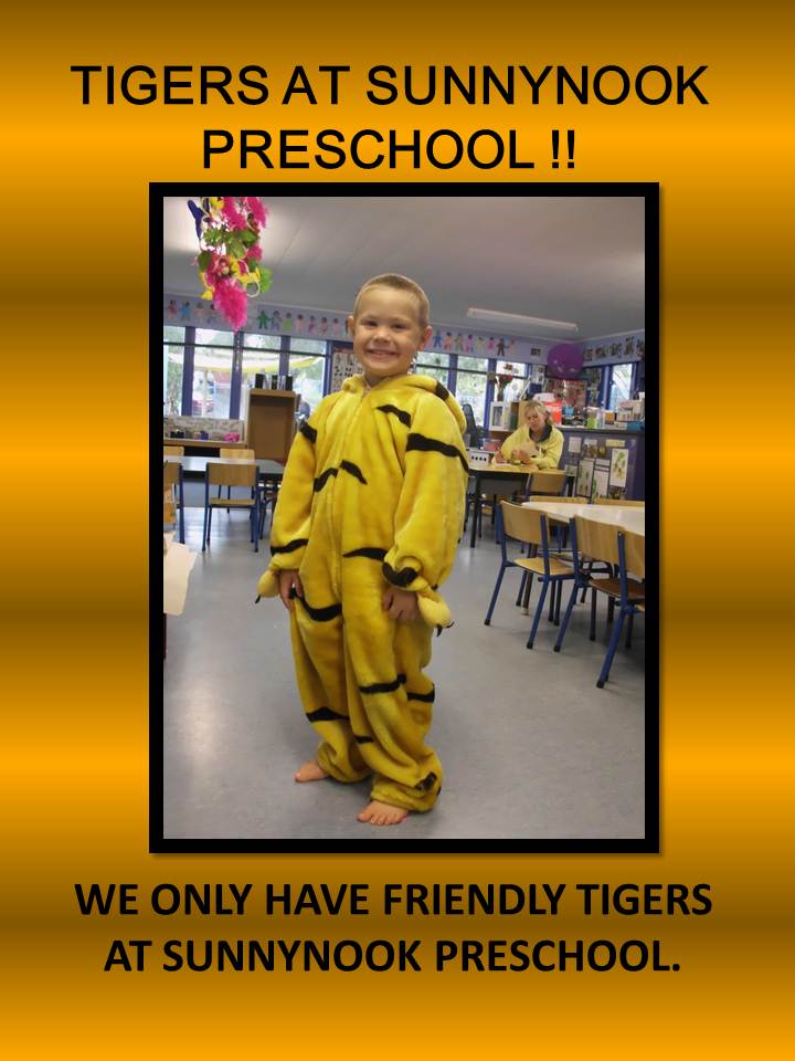 Sunnynook Preschool : Tigers at Preschool